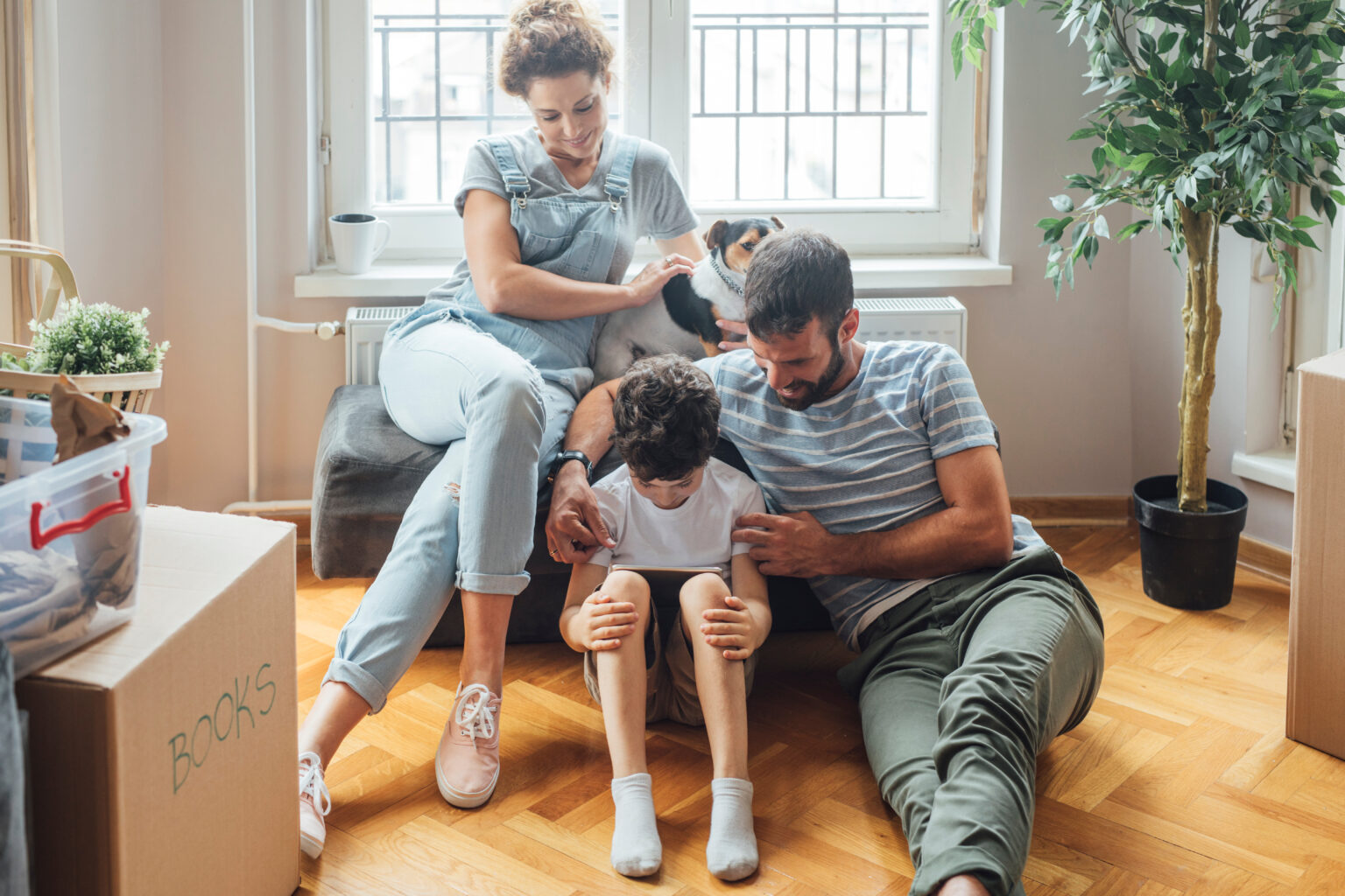 Choice Map Success Stories: From Good to Great | Community Choice ...